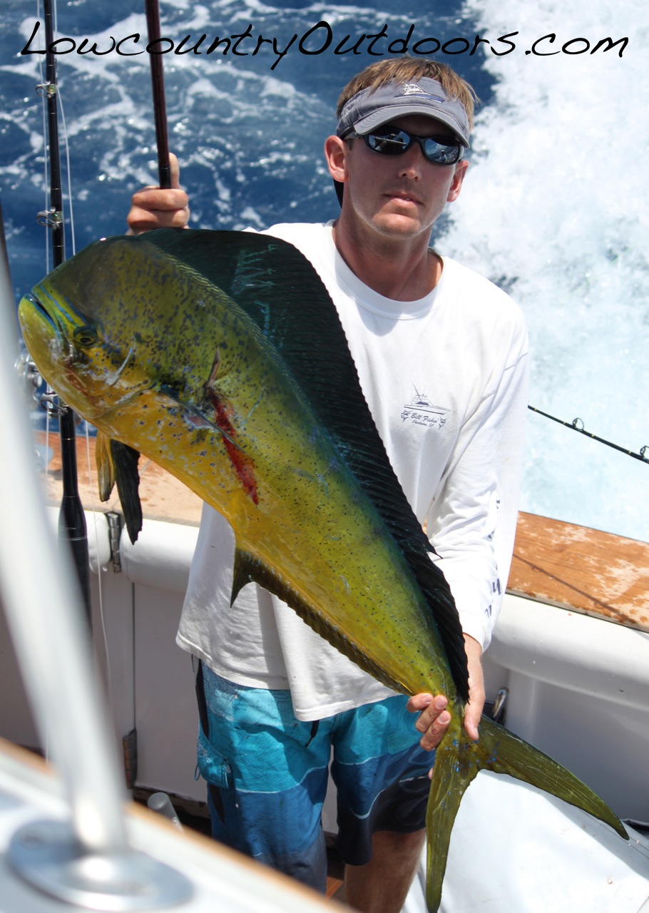 Lowcountry outdoors: Bluewater adventure at Gov. Cup aboard Can't Complain