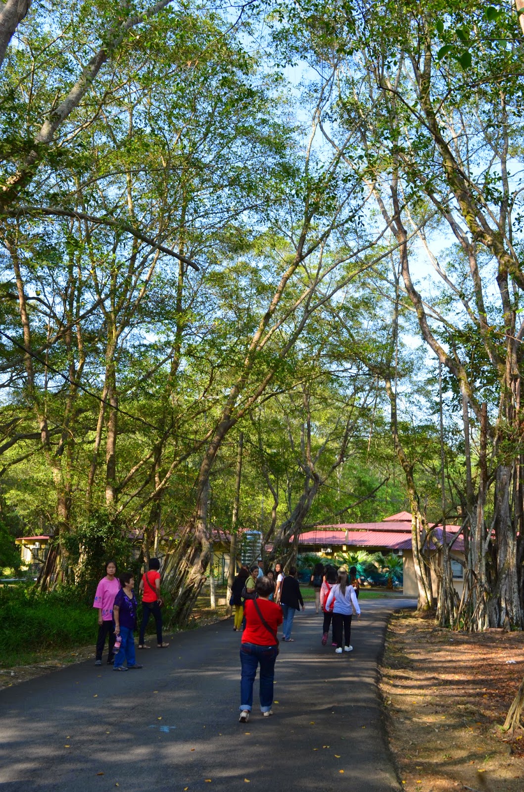 Our Journey : Selangor Kuala Selangor - Nature Park / Taman Alam Kuala ...