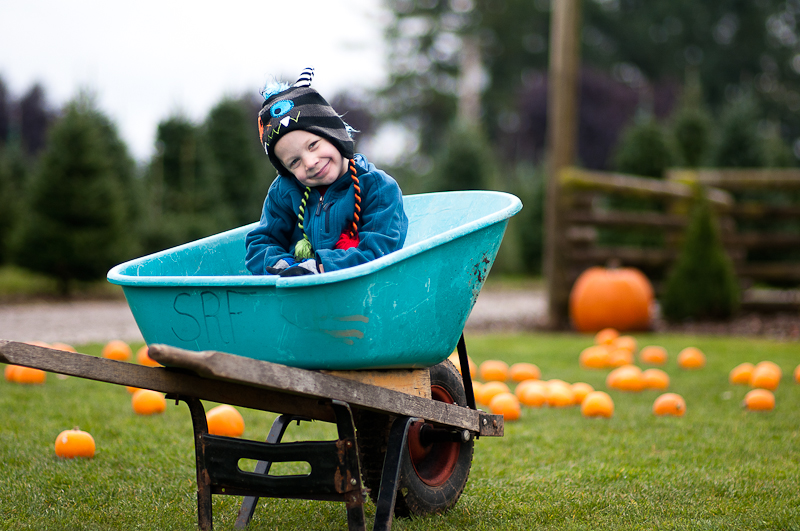 Rachel Vos: Personal ~ Stoney Ridge Farm