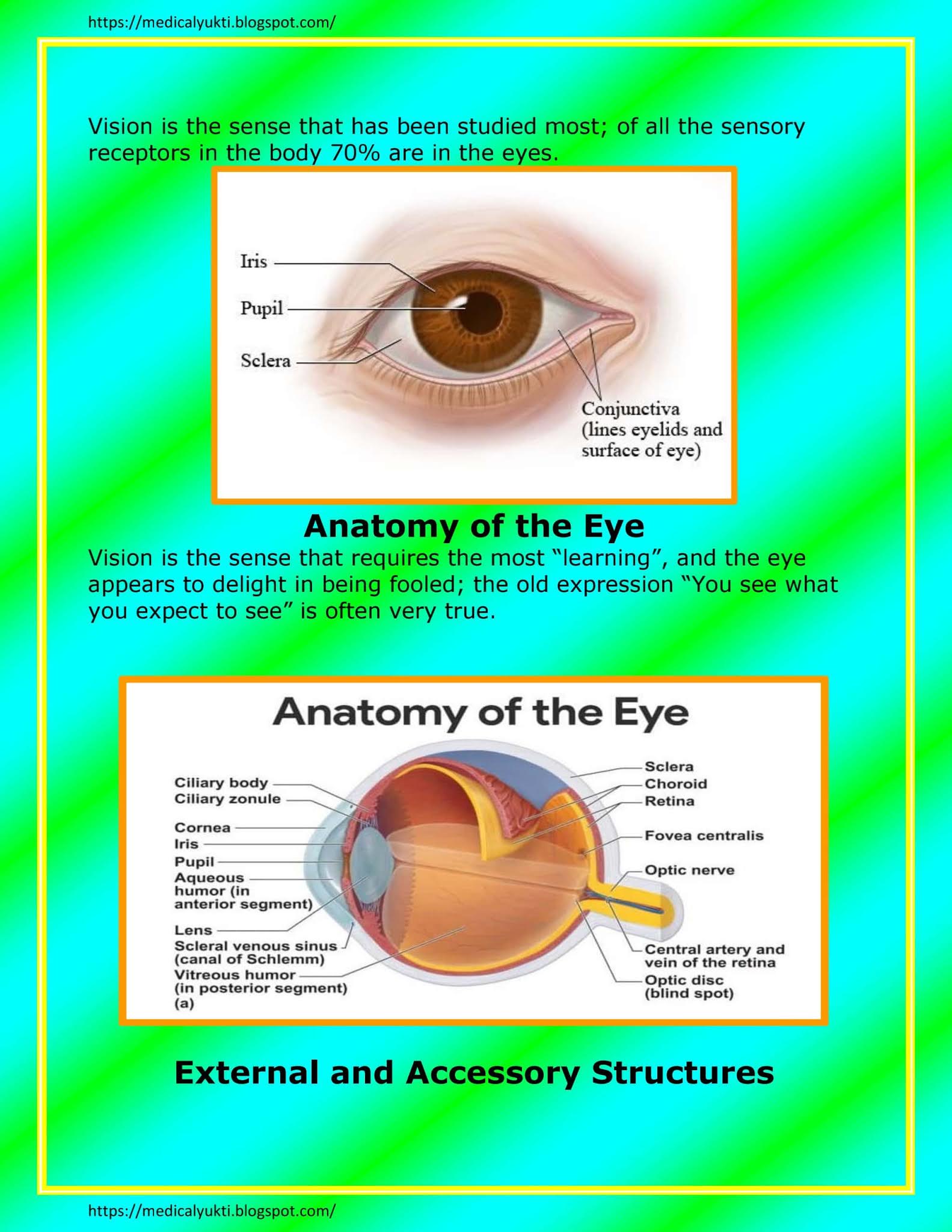 Special Senses Anatomy Physiology Medical Yukti Special Senses Anatomy Physiology Medical Yukti