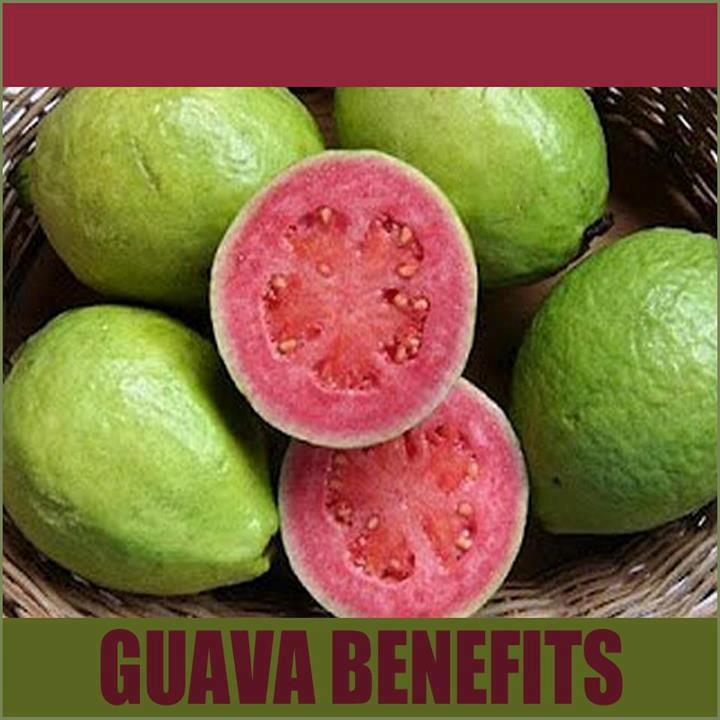 World of Information: Benefits of Guava