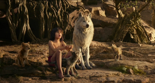 Flick Chicks: Review: The Jungle Book (2016)