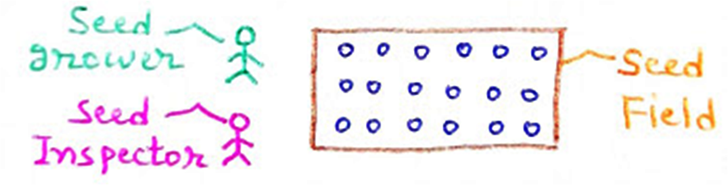 Seed Certification, Phases of Certification, Procedure for Seed ...