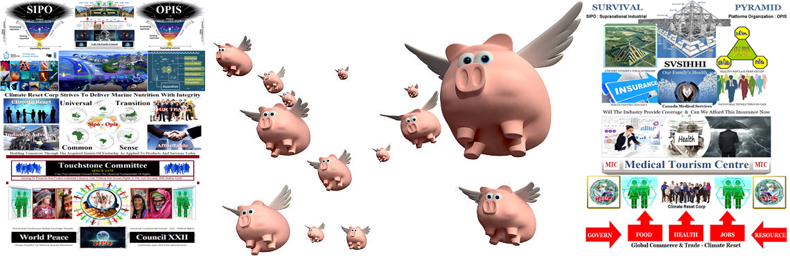 XXII When Pigs Fly xxii-when-pigs-fly
