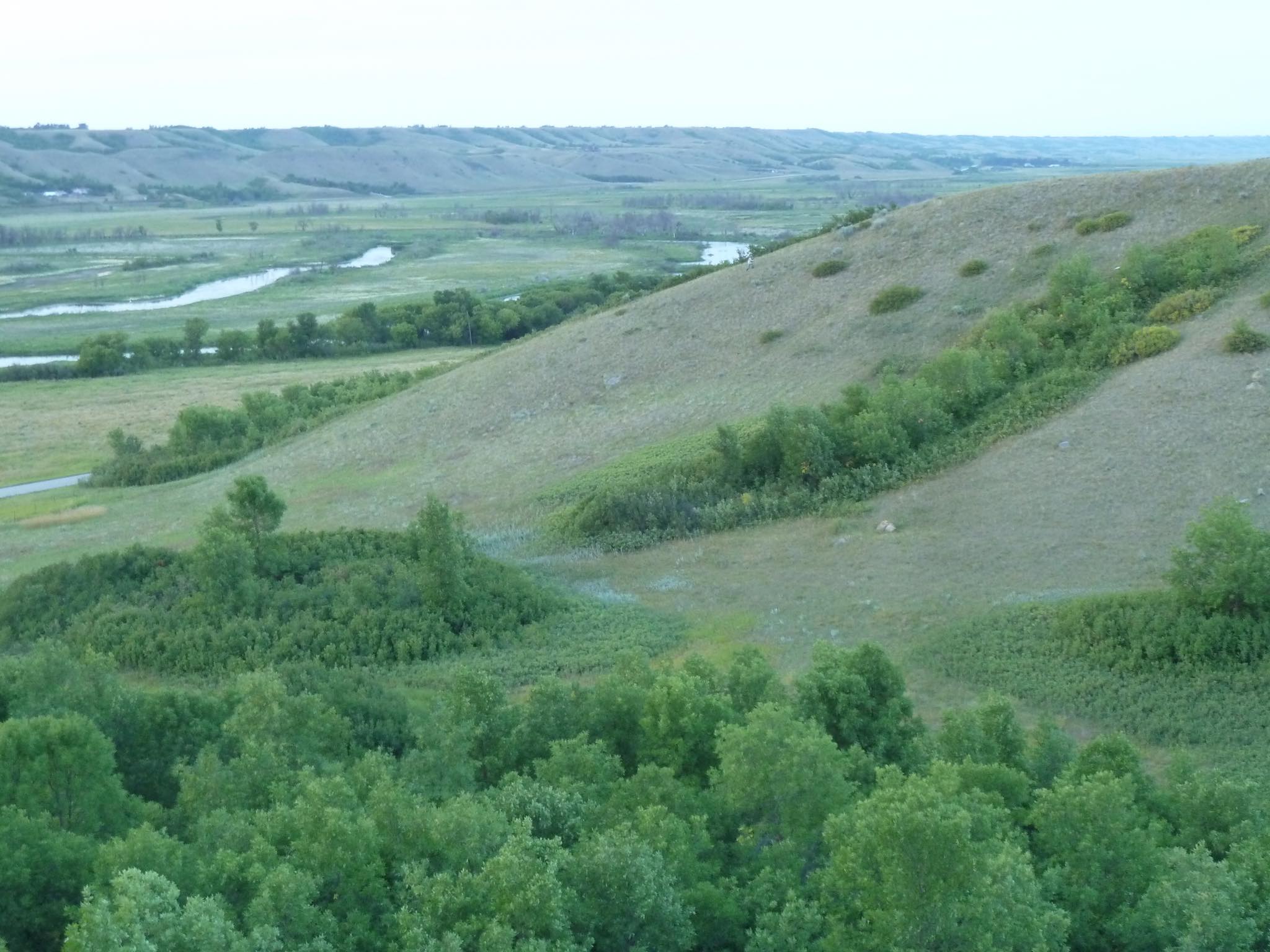EcoFriendly Sask: Nature Regina: Watch Them Grow, Part One