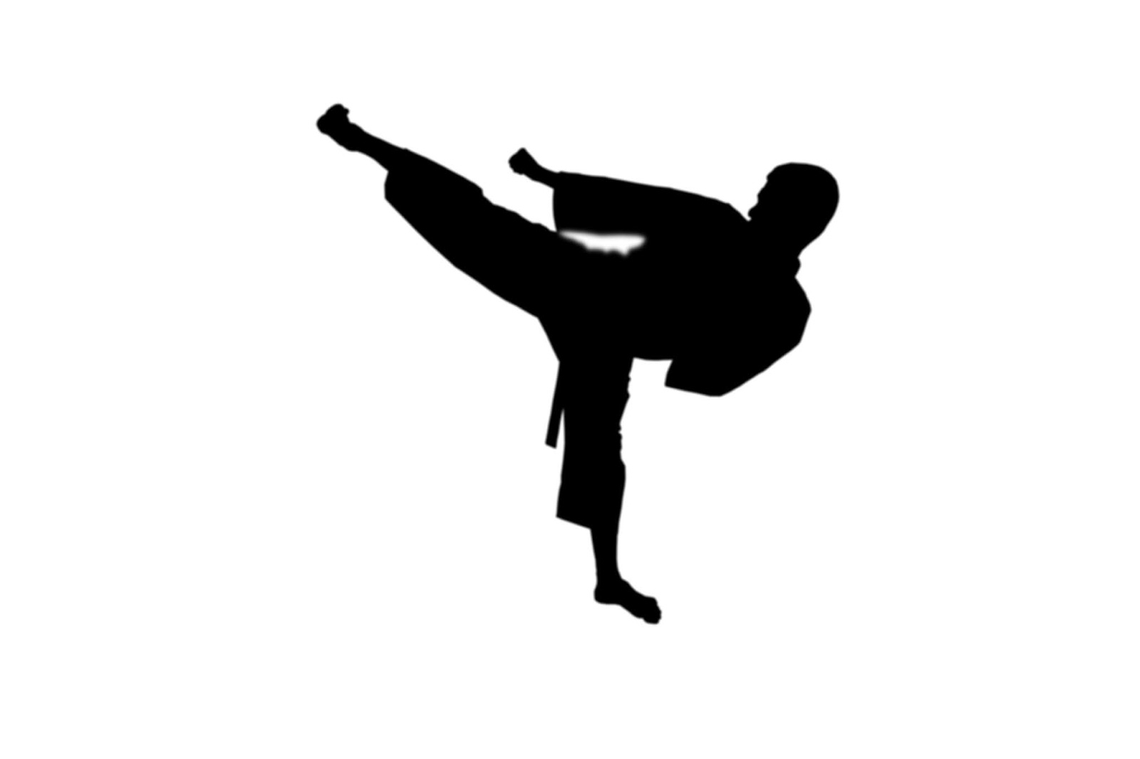 Panchabootha International Martial Arts Academy: Silambam Clipart , vector
