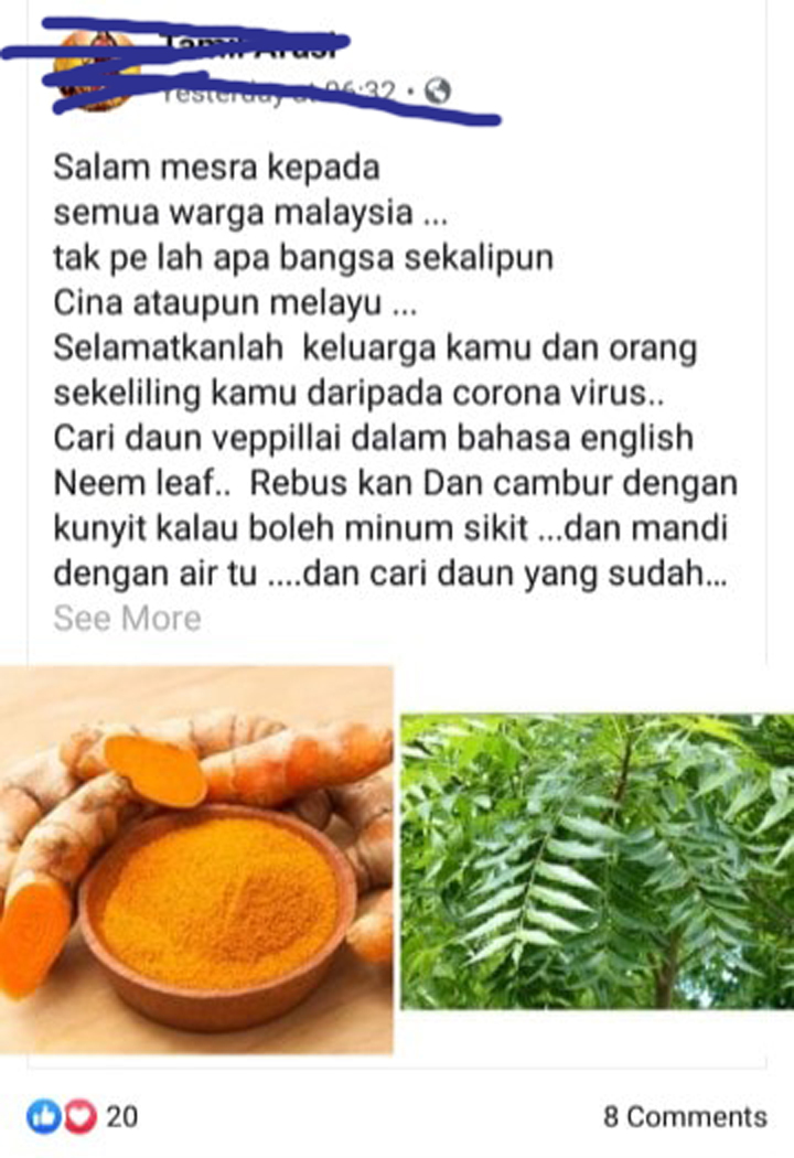 Daun Semambu (Neem) Ikhtiar Untuk Sembuh Pesakit Covid-19?