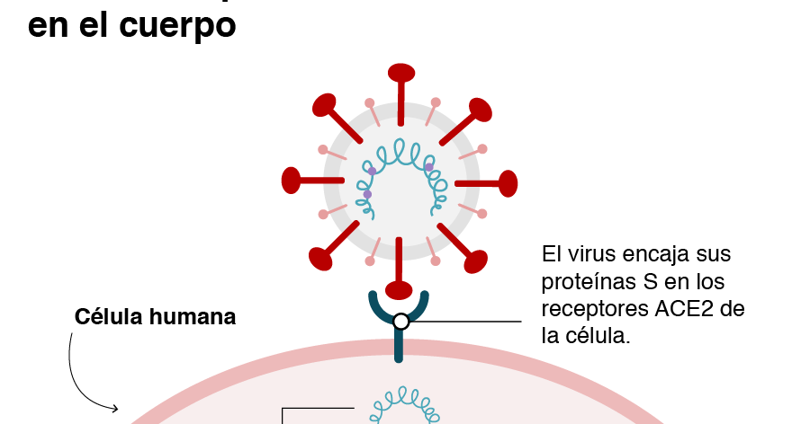 CIENCIA Y TECNOLOGÍA 2020: LA PRIMERA LINEA DE DEFENSA