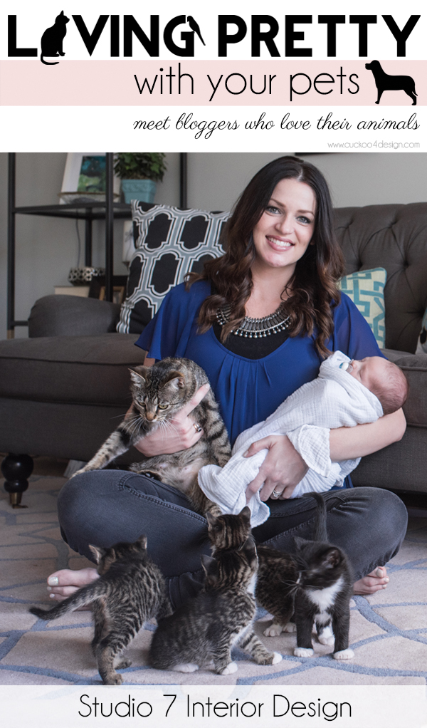 Studio 7 Interior Design: Living Pretty with your Pets