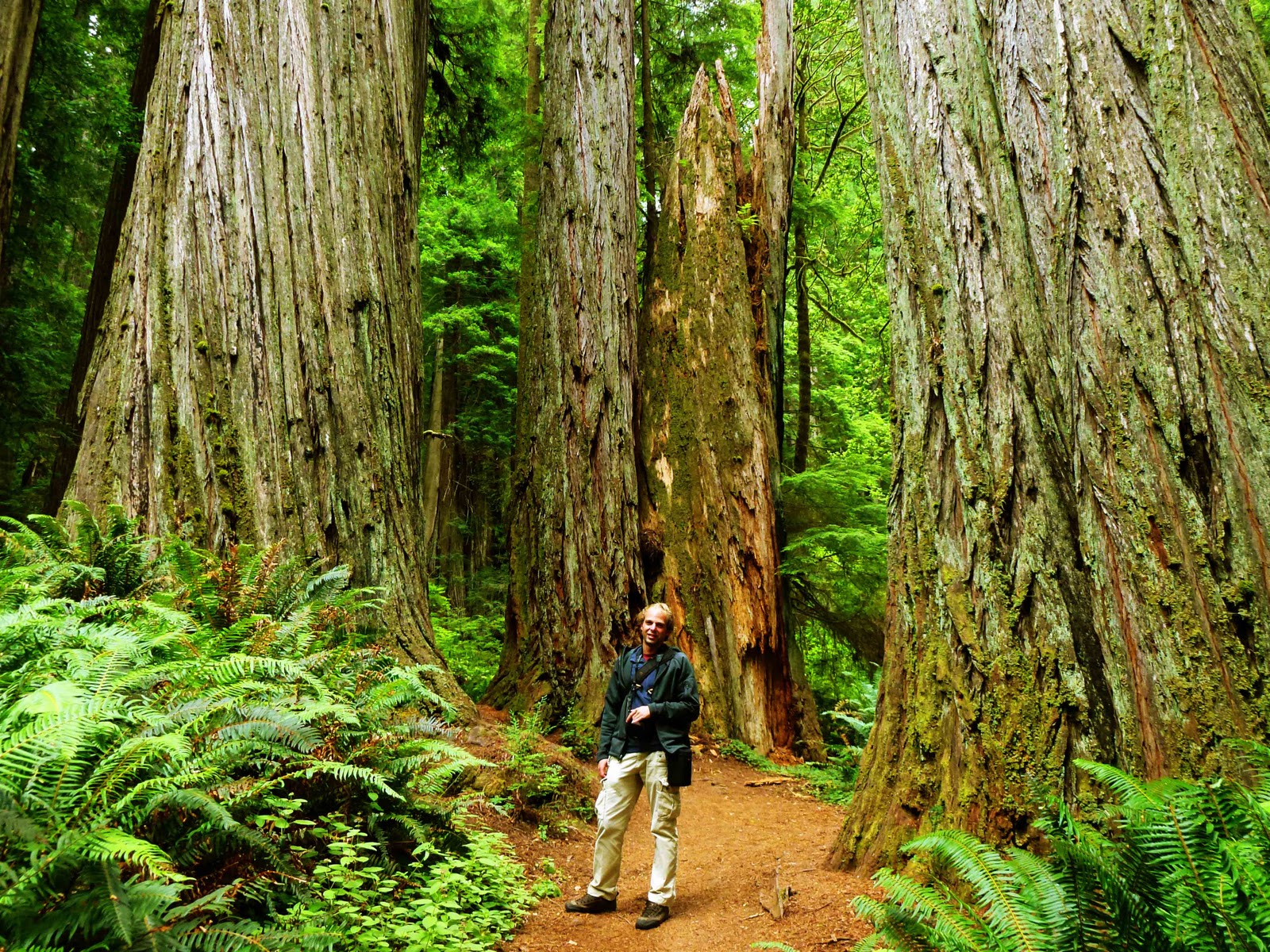 Together on the World!: De Seattle hasta el Parque Nacional de Reedwoods