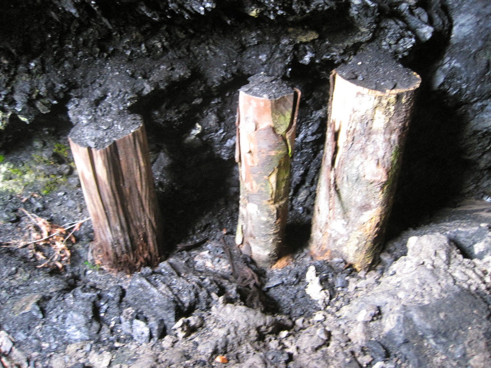 Carolyn in Aotearoa: The Mines of Millerton (Yes, Millerton, not Moria)