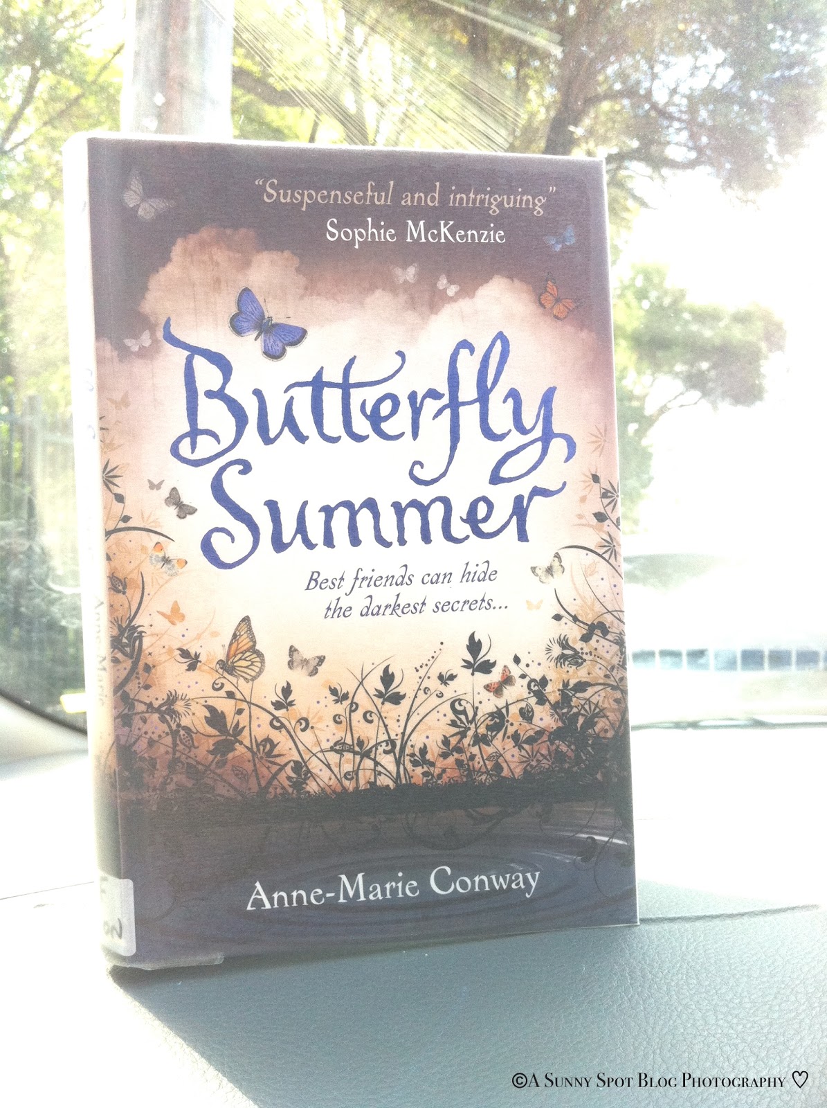 Butterfly Summer by Anne Marie Conway Review | A Sunny Spot