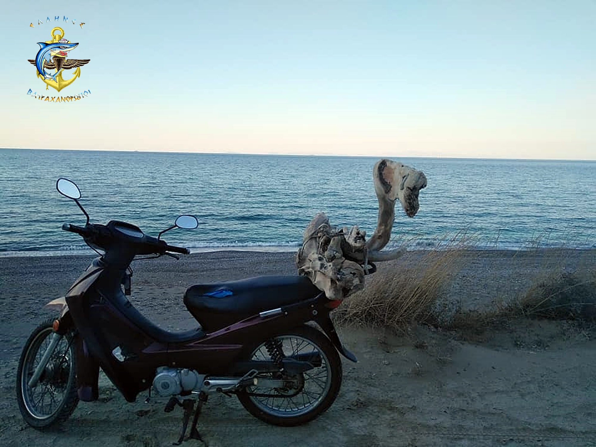ΕΛΛΗΝΕΣ ΒΑΤΡΑΧΑΝΘΡΩΠΟΙ: Θανάσης Λάκκας ο Βατραχάνθρωπος Καλλιτέχνης