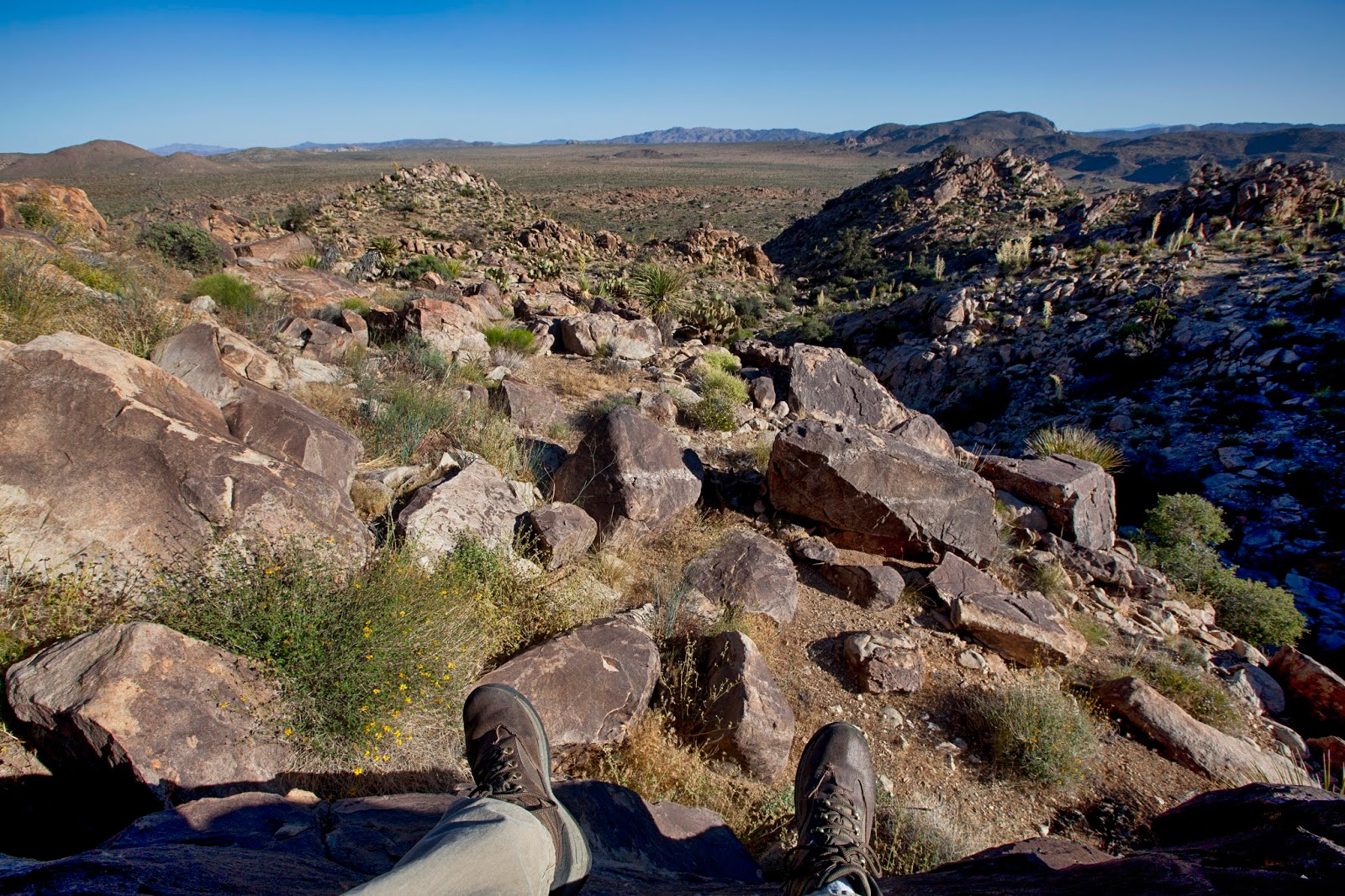 Spare Parts and Pics: Wonderland Overlook