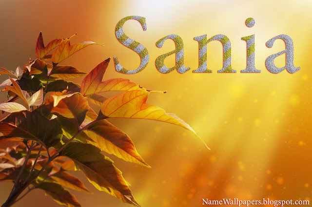 Sania Name Wallpapers Sania ~ Name Wallpaper Urdu Name Meaning Name ...