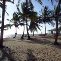 Reserva Natural Galibi: Playa Tortuga Galibi.