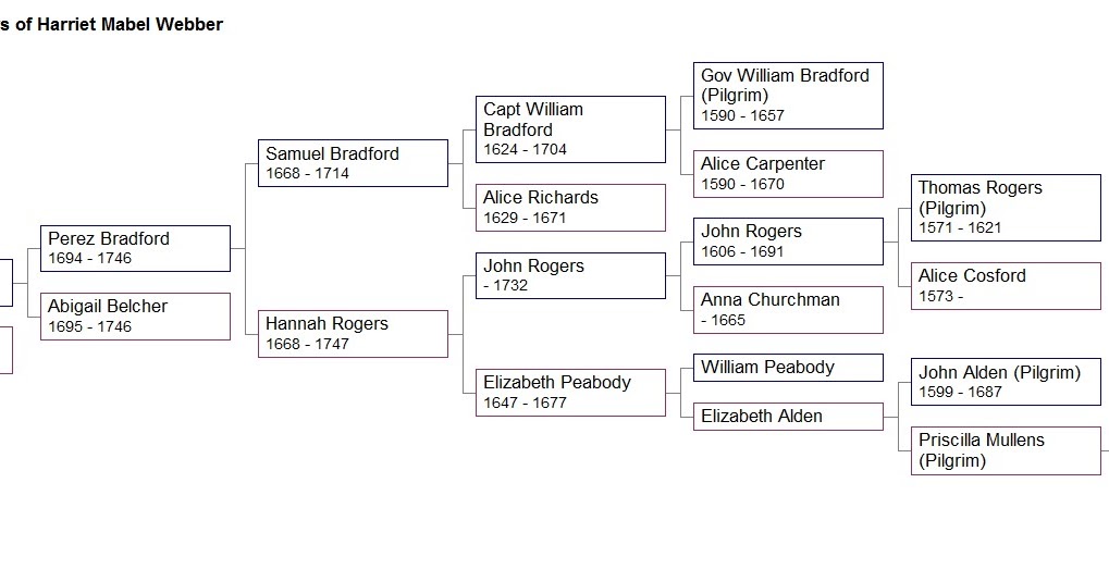 Our Family Forest: Mayflower Ancestors