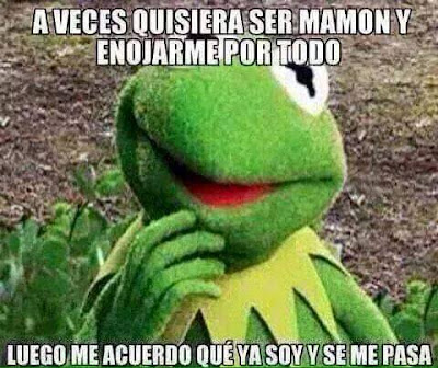 Memes de la rana rene: 3 Memes de la rana rene para no papar de reír