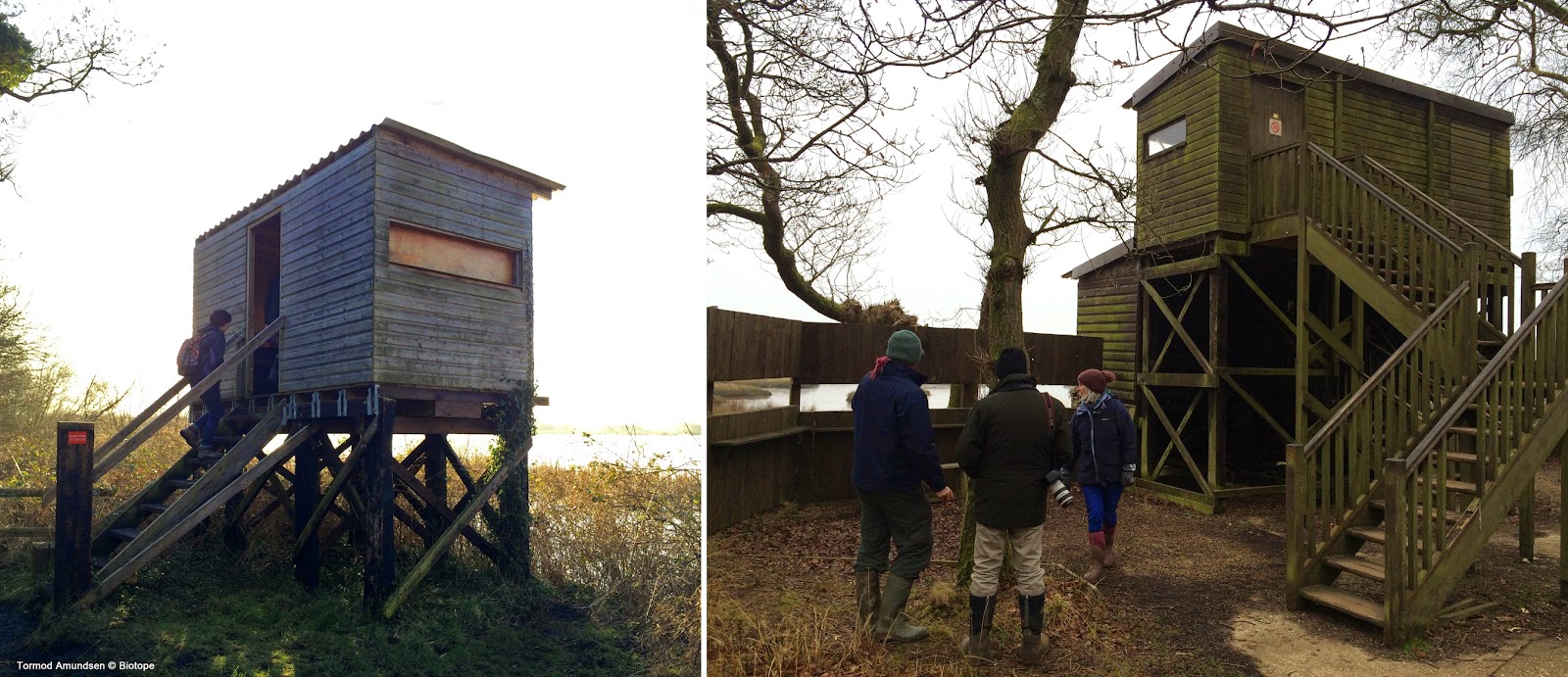 biotope: Birding Architecture - bird hides & nature reserve innovation