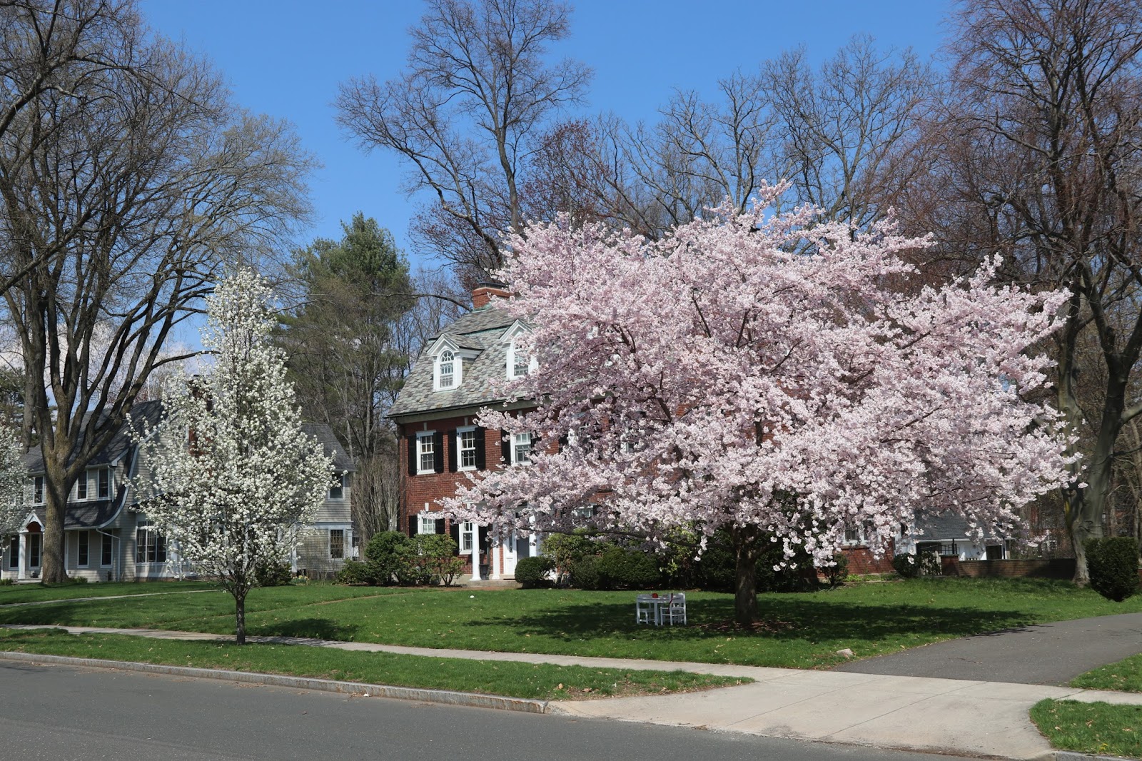Naples and Hartford in Season: Spring In West Hartford Naples and Hartford in Season: Spring In West Hartford