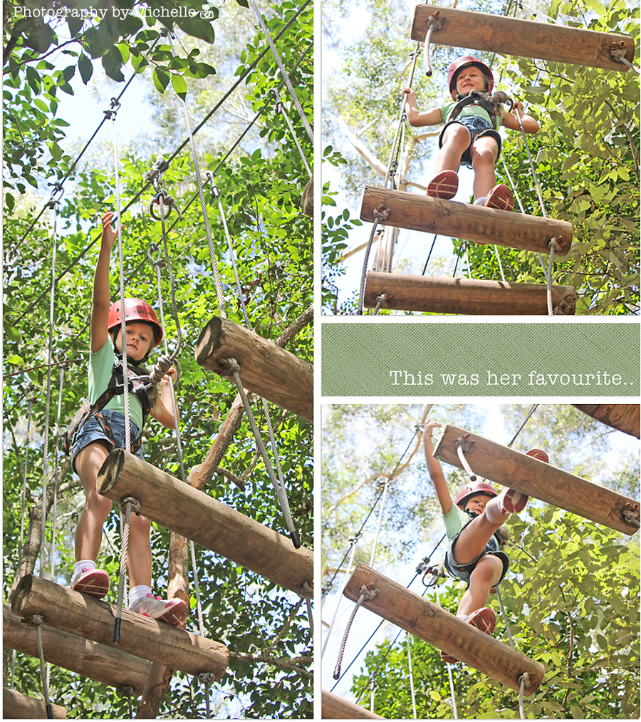 Photography by Michelle: Swinging Through the Treetops - Treetop ...