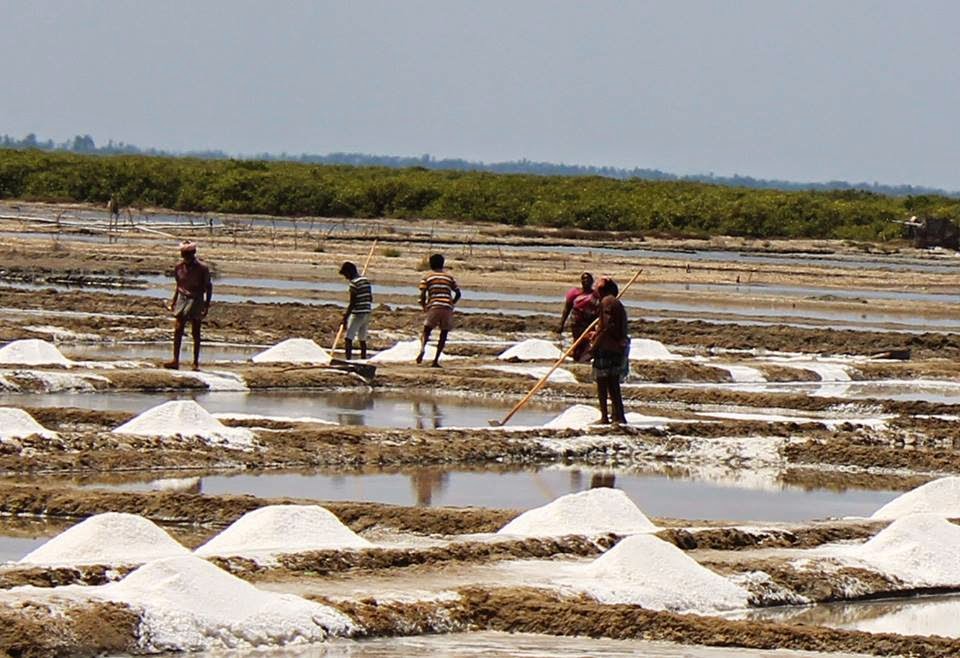 The Magic Tours Blog: The Salt-Pan Workers of Tamil Nadu