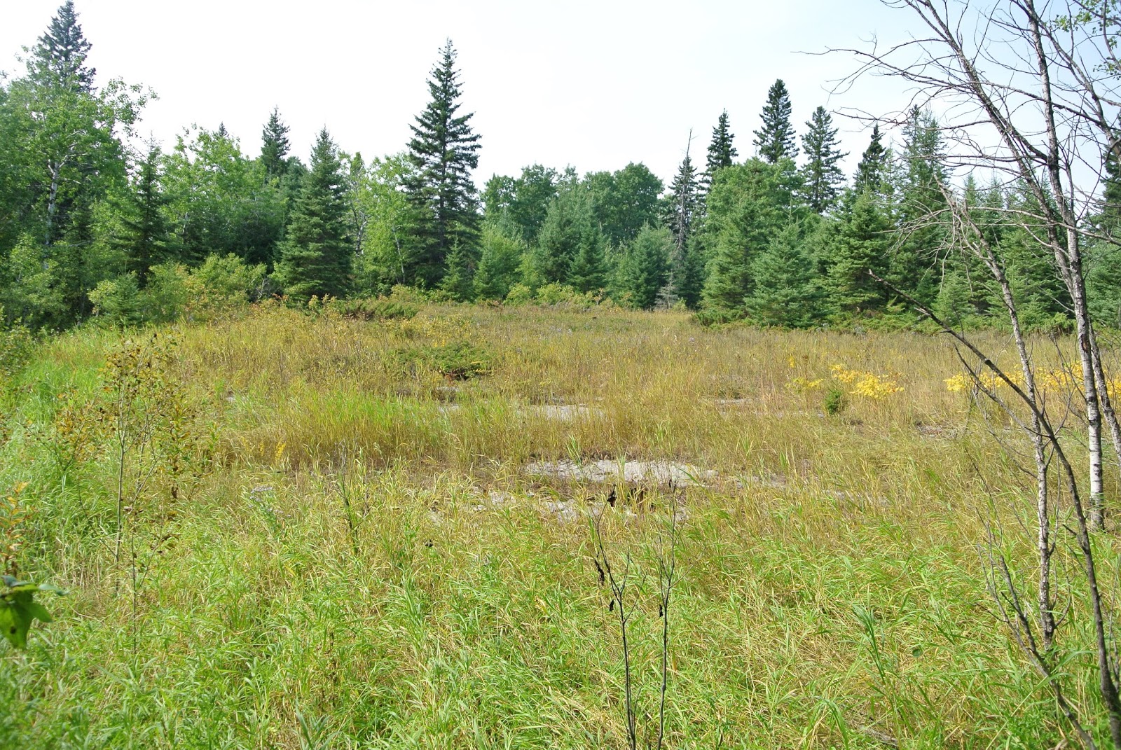 Manitoba's Prisoners of War: PoWs at Mafeking