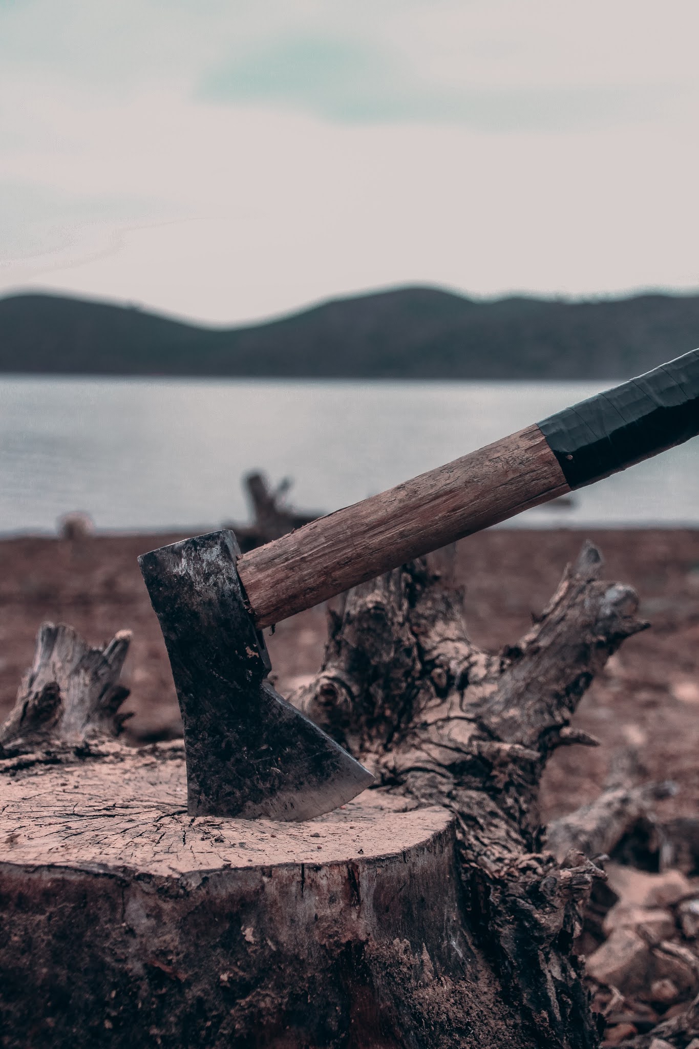 THE SPIRIT OF WISDOM AND REVELATION LAYING THE AXE TO THE ROOT the-spirit-of-wisdom-and-revelation-laying-the-axe-to-the-root