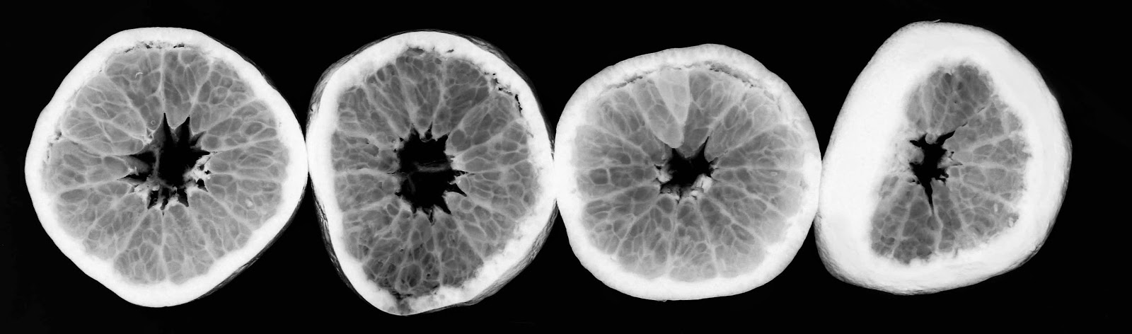 Here's Hoping It's Useful!: How To Make a Digital Photogram