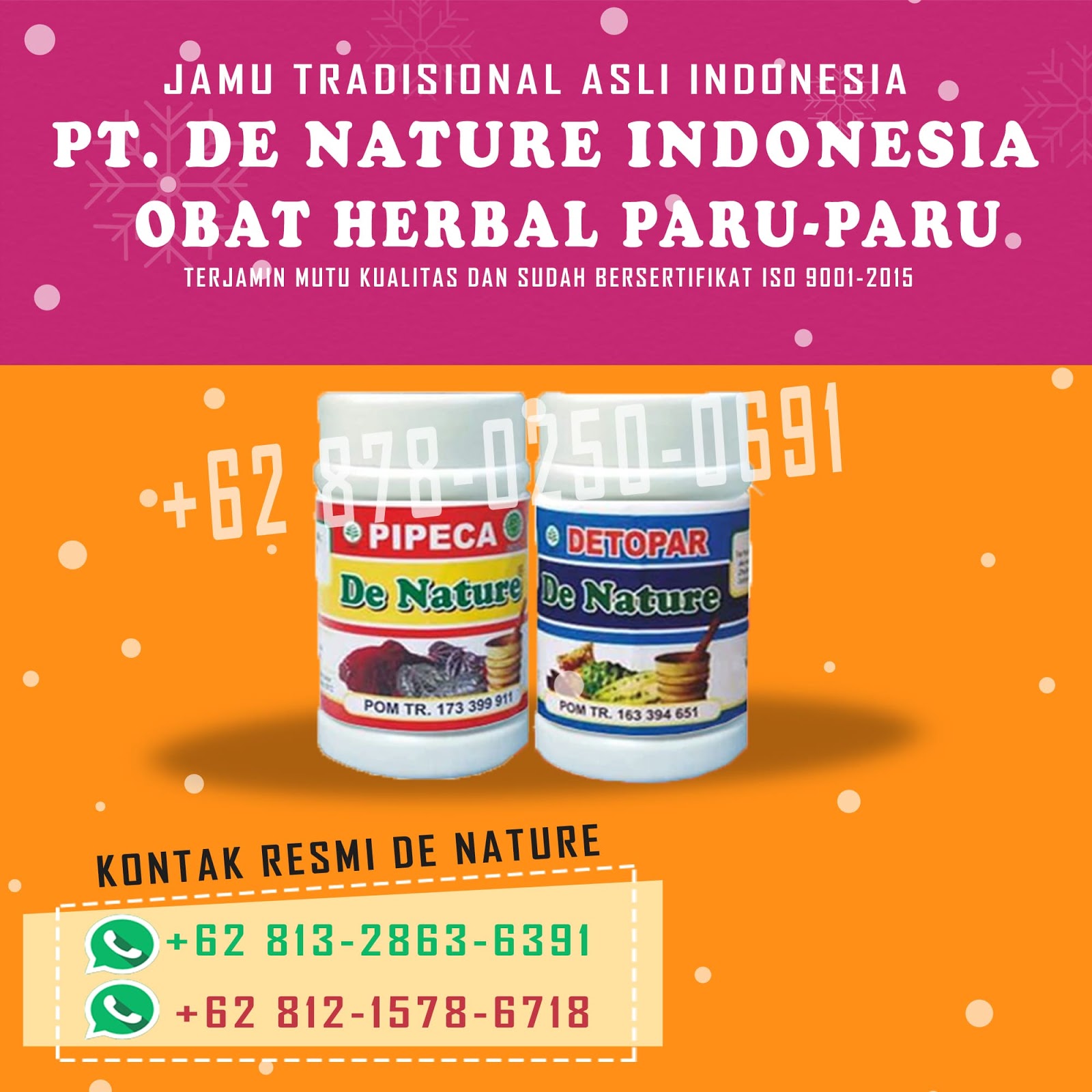 3 Rekomendasi Obat herbal sakit paru paru kering dan basah untuk usia ...