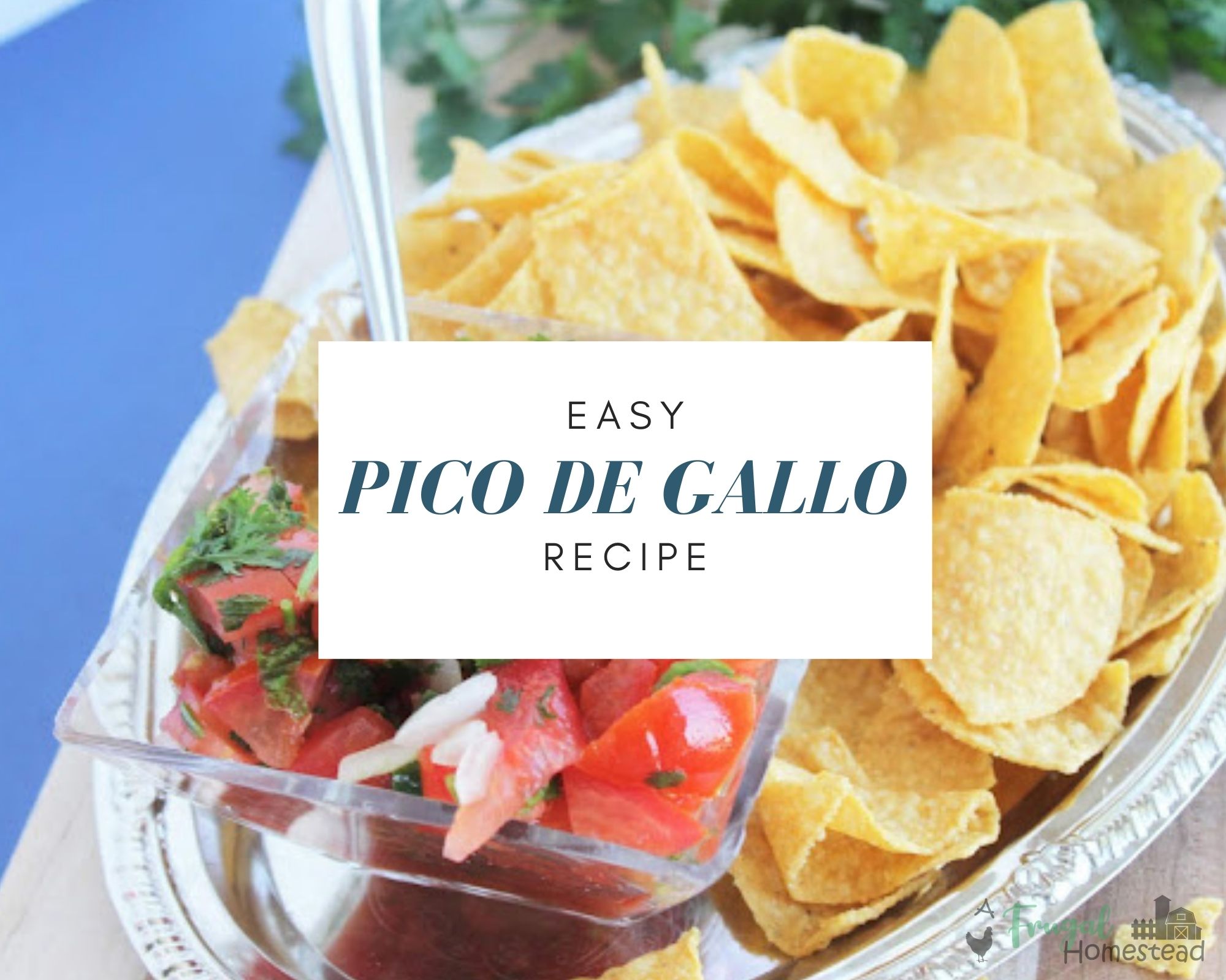 Easy Traditional Pico de Gallo Recipe