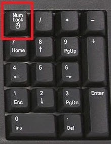 Ativar Numlock na tela de login do Gnome 3.36 e posteriores