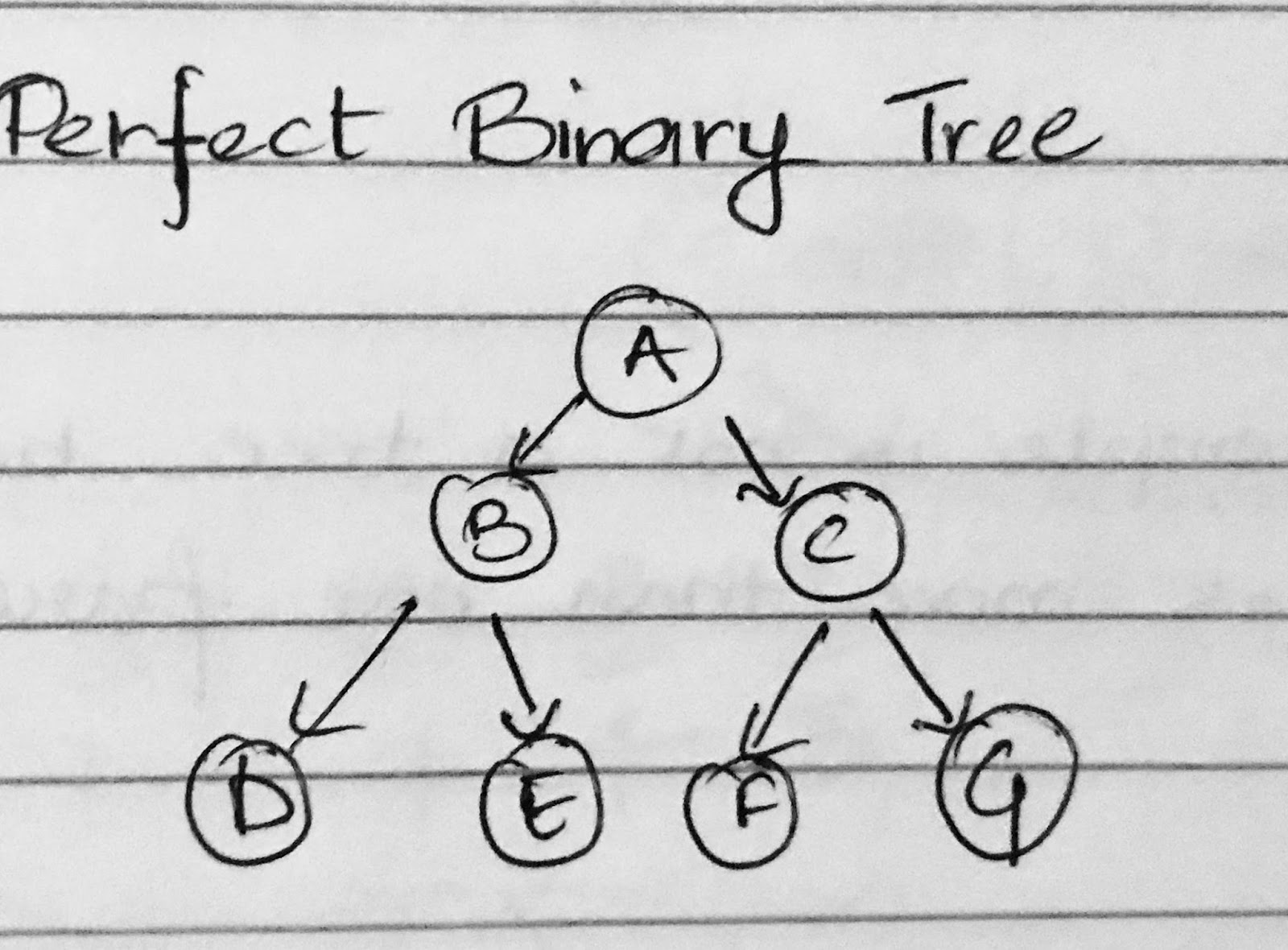 Binary Tree - Types and Traversal