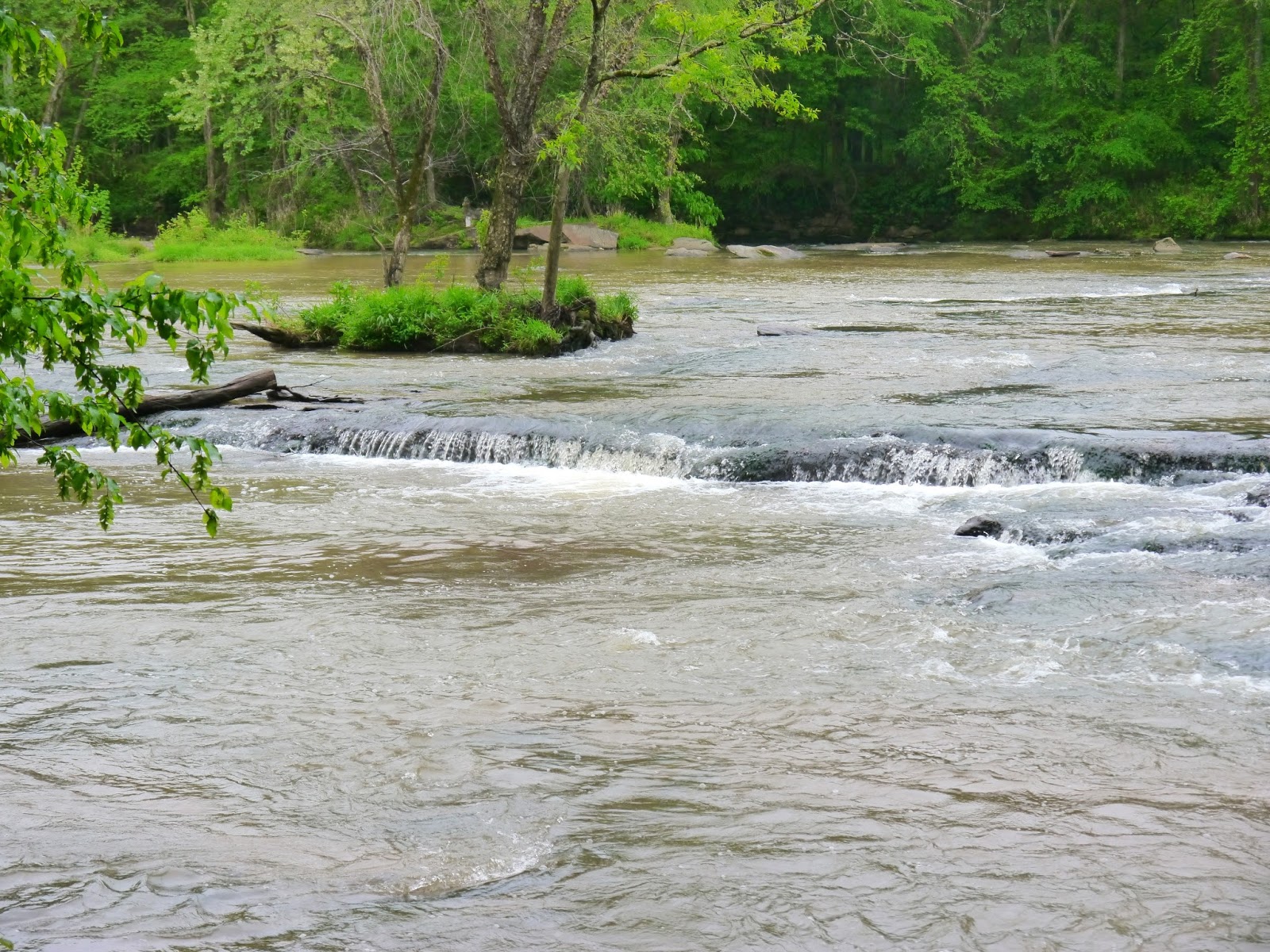 American Travel Journal: Enoree River Shoals - Musgrove Mill State ...