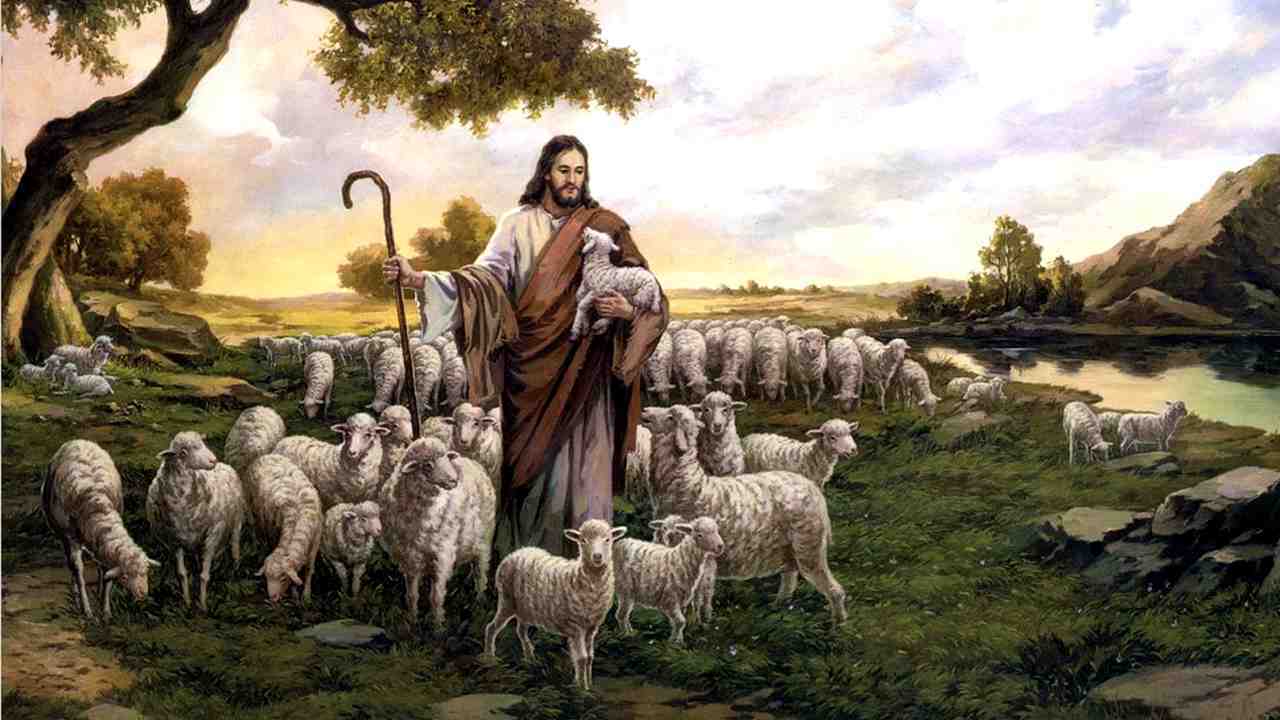 Domba Kuat Karena Gembalanya Kuat - Khotbah Kristen