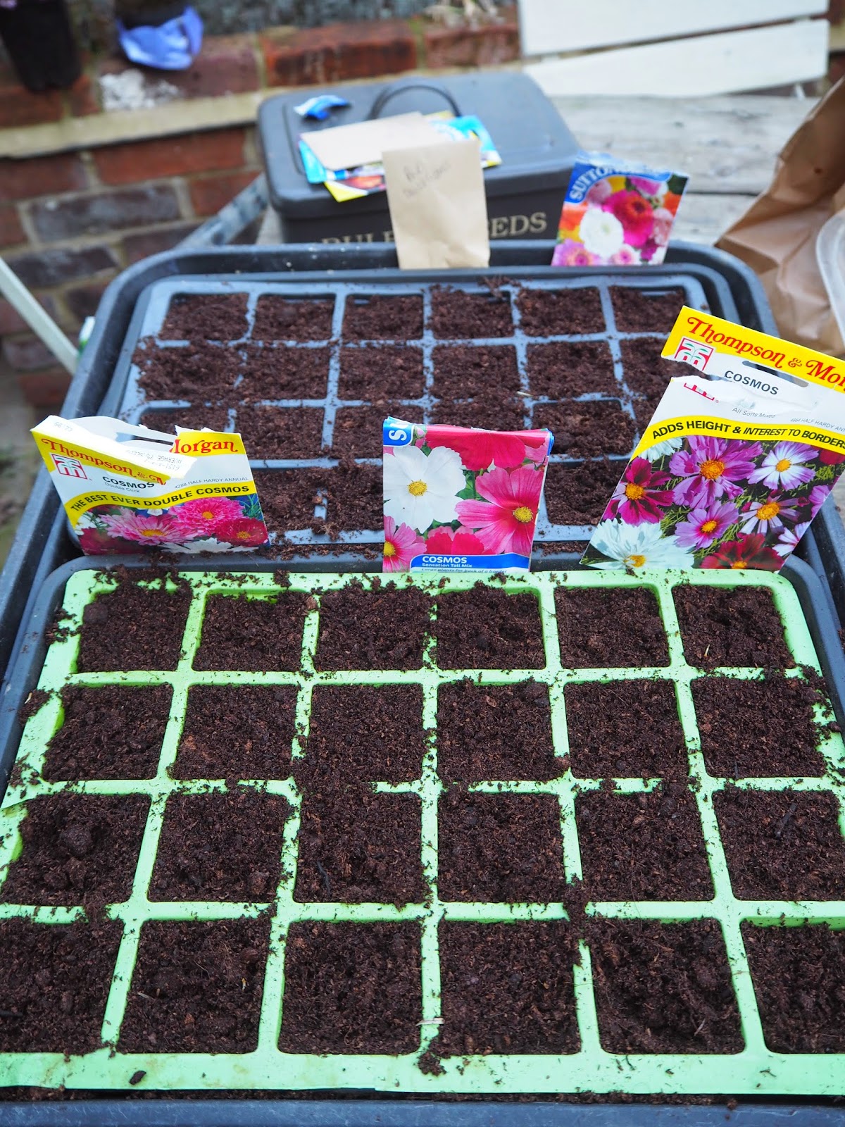 Spring Seed Planting - How to Have A Cutting Garden - Roses and Rolltops
