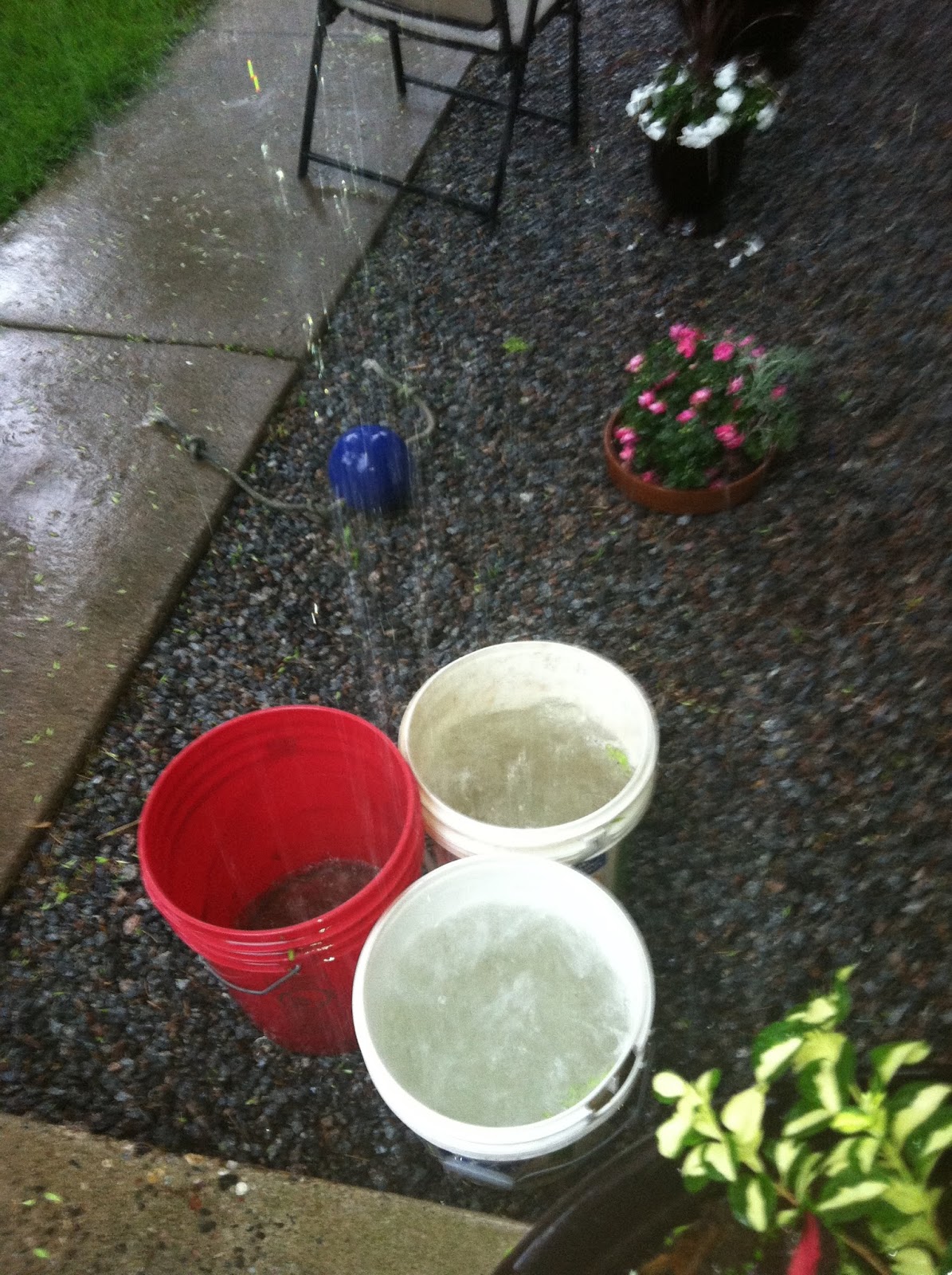 Sans Souci: It's Raining Buckets