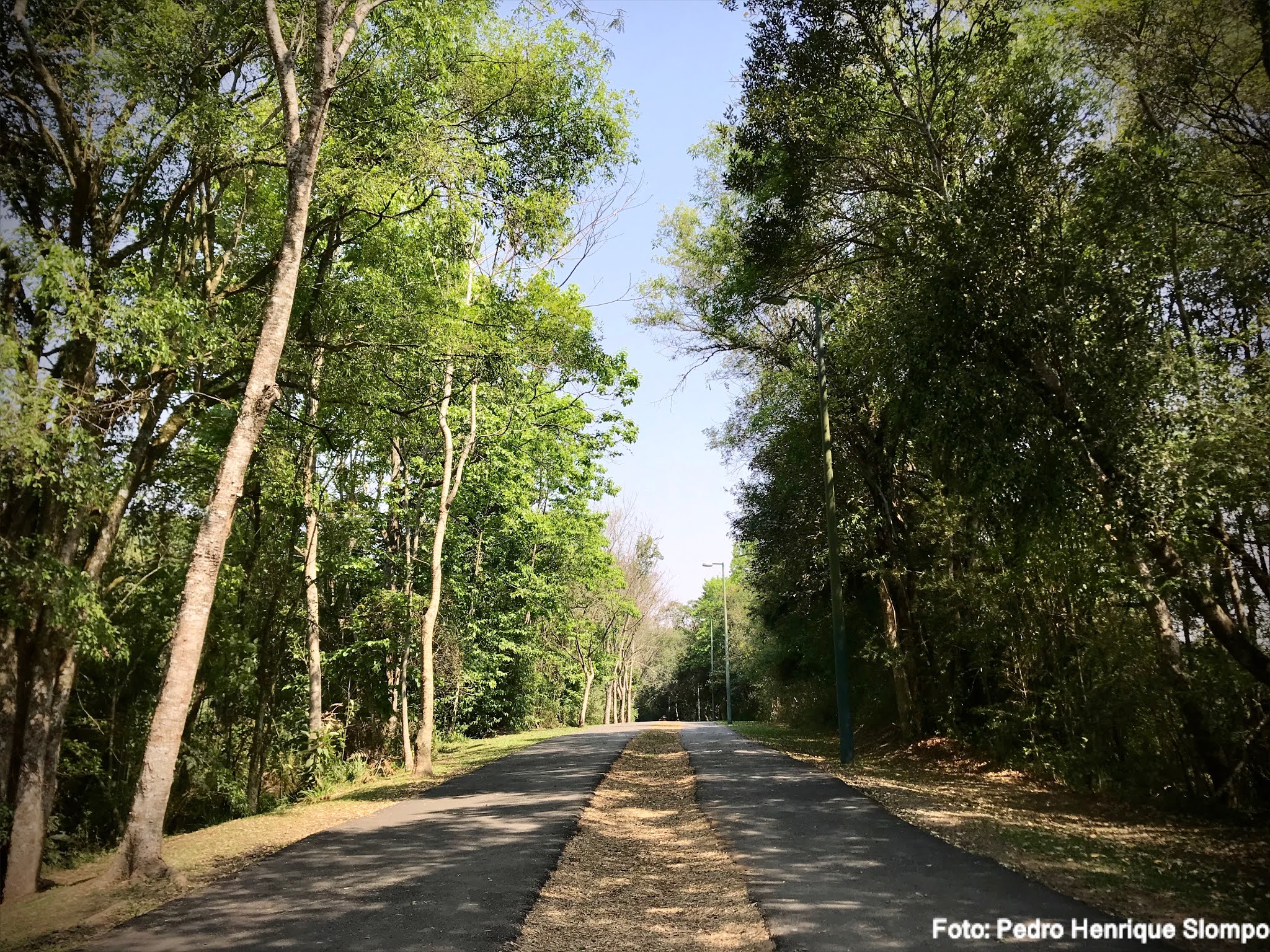 Apiaí - História e Turismo: MUDANDO A ROTA - O PARQUE ATUBA, COLOMBO/PR