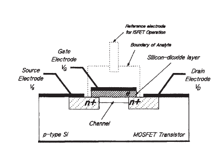 A "MEDIA TO GET" ALL DATAS IN ELECTRICAL SCIENCE...!!: Chemfet Transducers