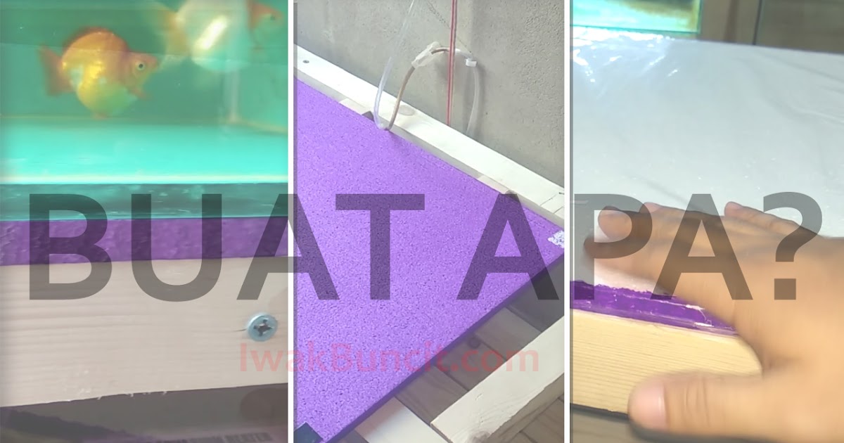 Apa Fungsi Sterofoam, Styrofoam atau Busa Gabus Putih pada Alas Aquarium?