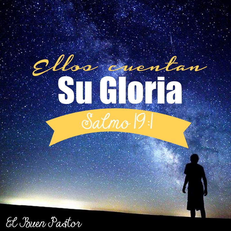 YO SOY EL BUEN PASTOR: Salmo 19:1