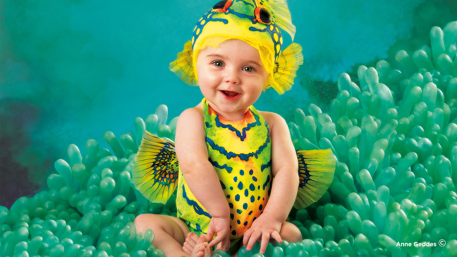 Los Grandes Fotografos: Anne Geddes (1956)