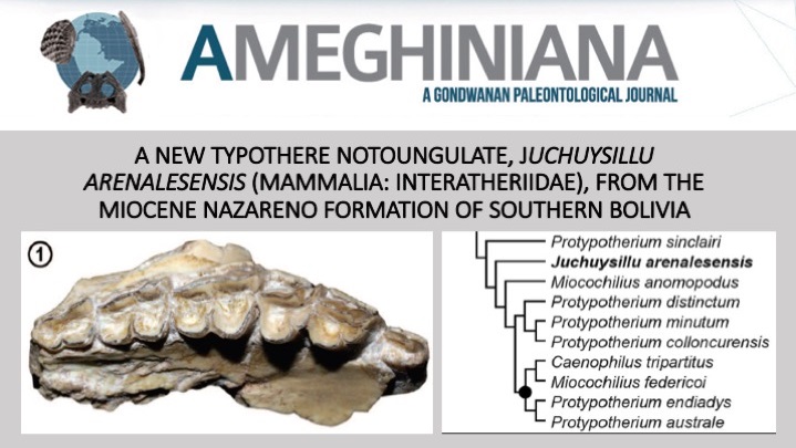 Species New to Science: [PaleoMammalogy • 2020] Juchuysillu ...