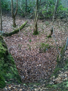 What do you seek in a wood for play? | Creative STAR Learning | I'm a ...