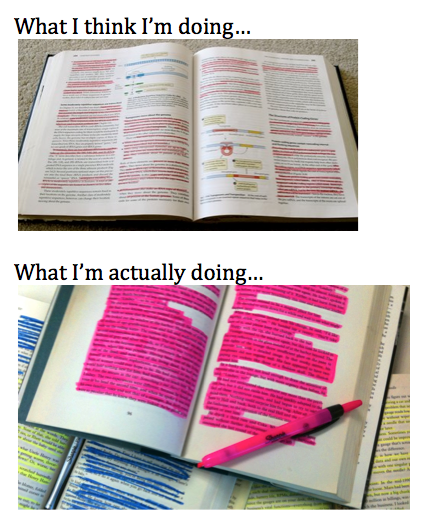 Just for fun pic: Highlight All Important Parts - Expectation vs Reality