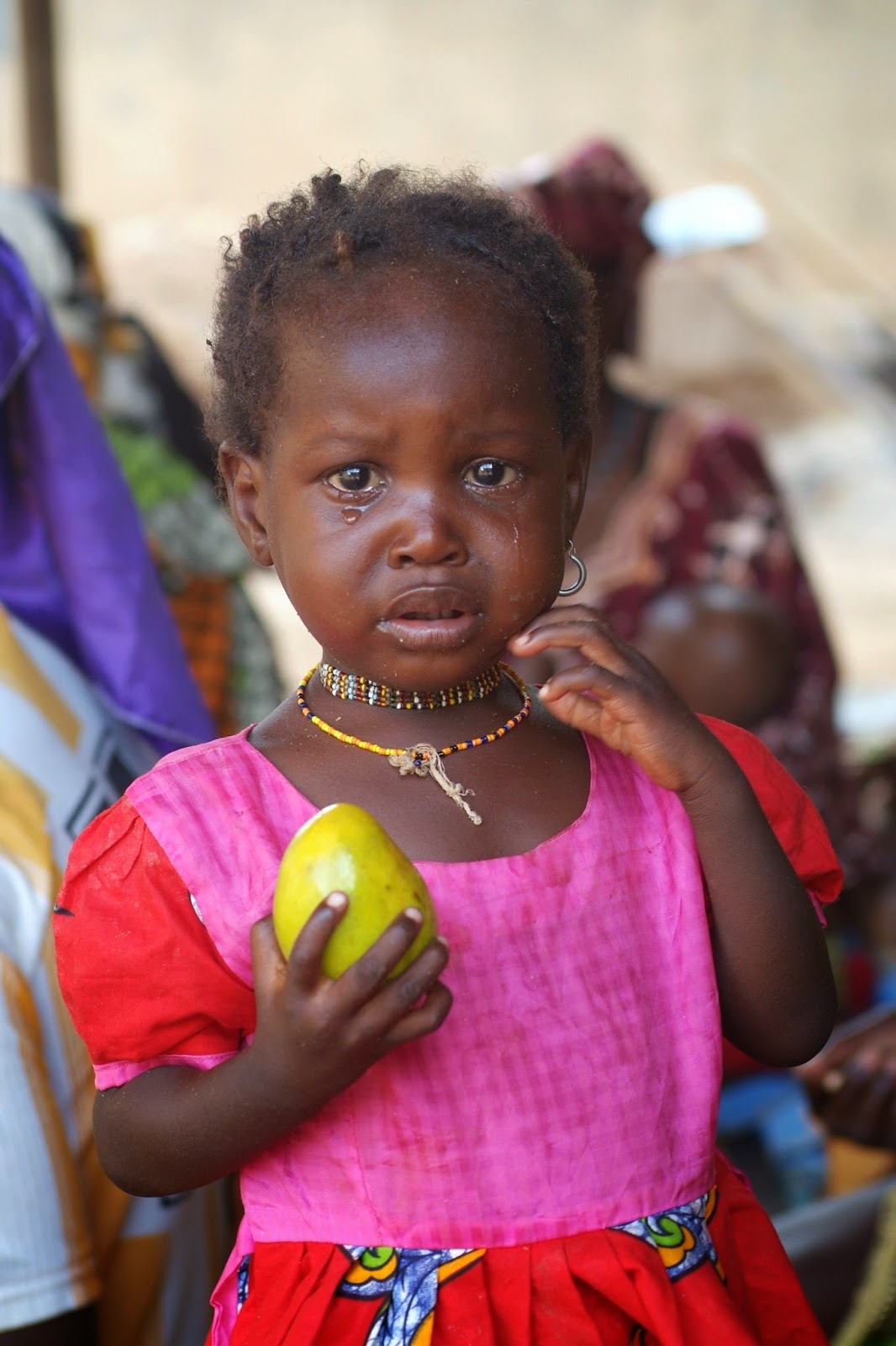 Krista's Galmi Adventure: Facts about Niger and the Galmi Hospital