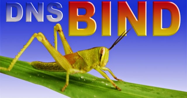 Building Local Dns Server Using BIND for Windows on the Network ...