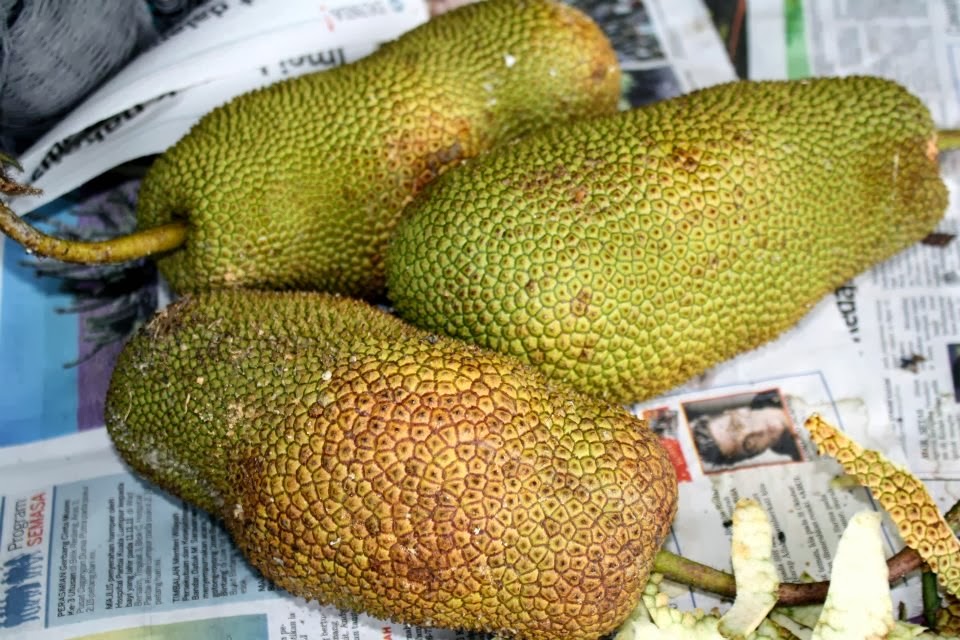 Resepi - Cara Membuat Mandai - Relaks Minda