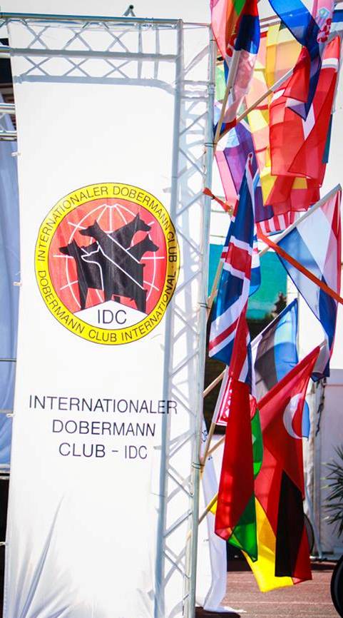 Dobermann Insider: IDC [ International Deutsche Club ] Show 2013, Romania