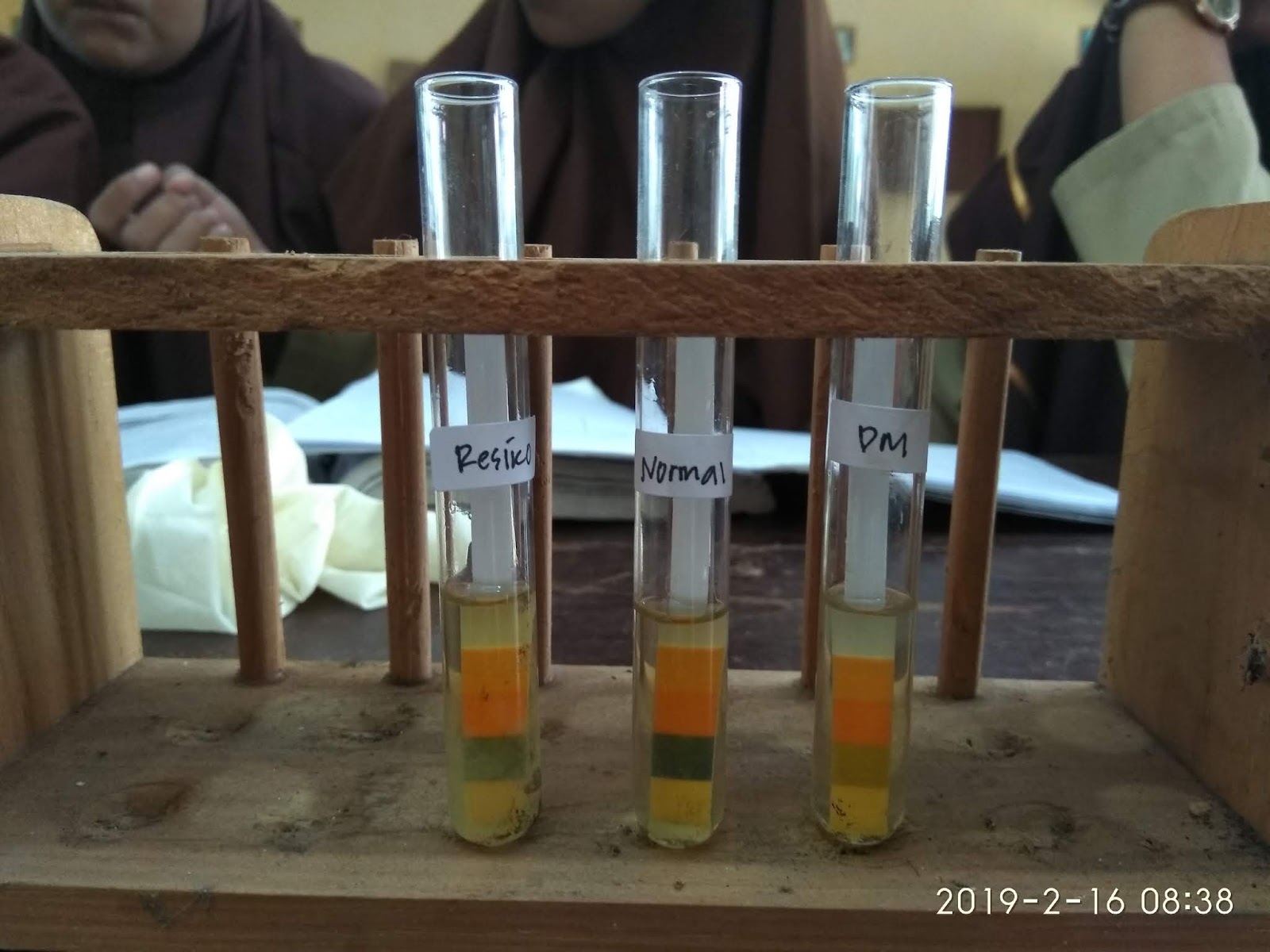 Praktikum Uji Kandungan Urin Manusia Oleh Kelas XI MIA 2 dan XI MIA 3 ...
